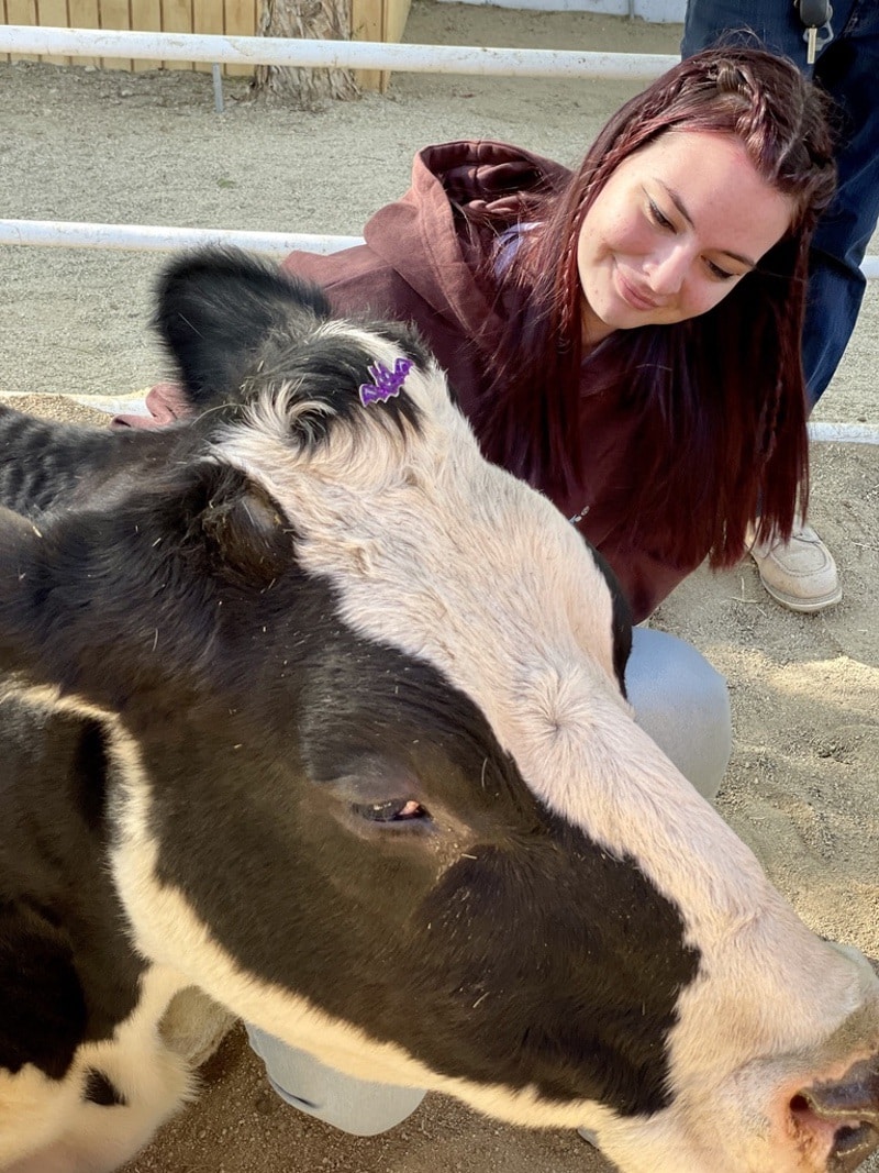 How To Pet A Turkey, Hug A Cow & Cuddle A Chicken - WhereGalsWander